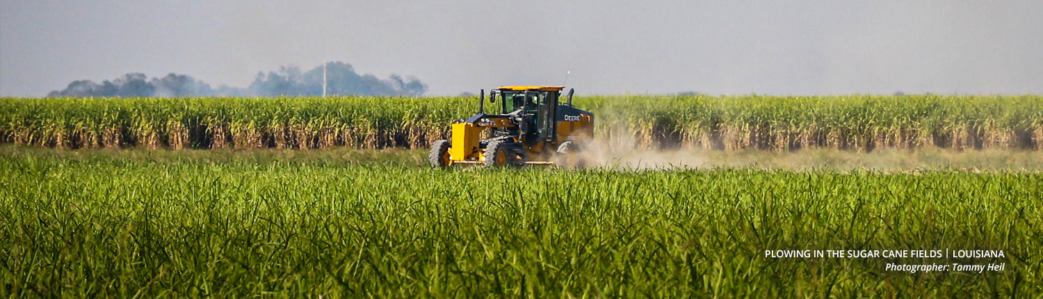 LASERS – LASERS Benefits Louisiana